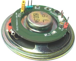 mini audio amplifier (1).jpg - Electronics-Lab.com