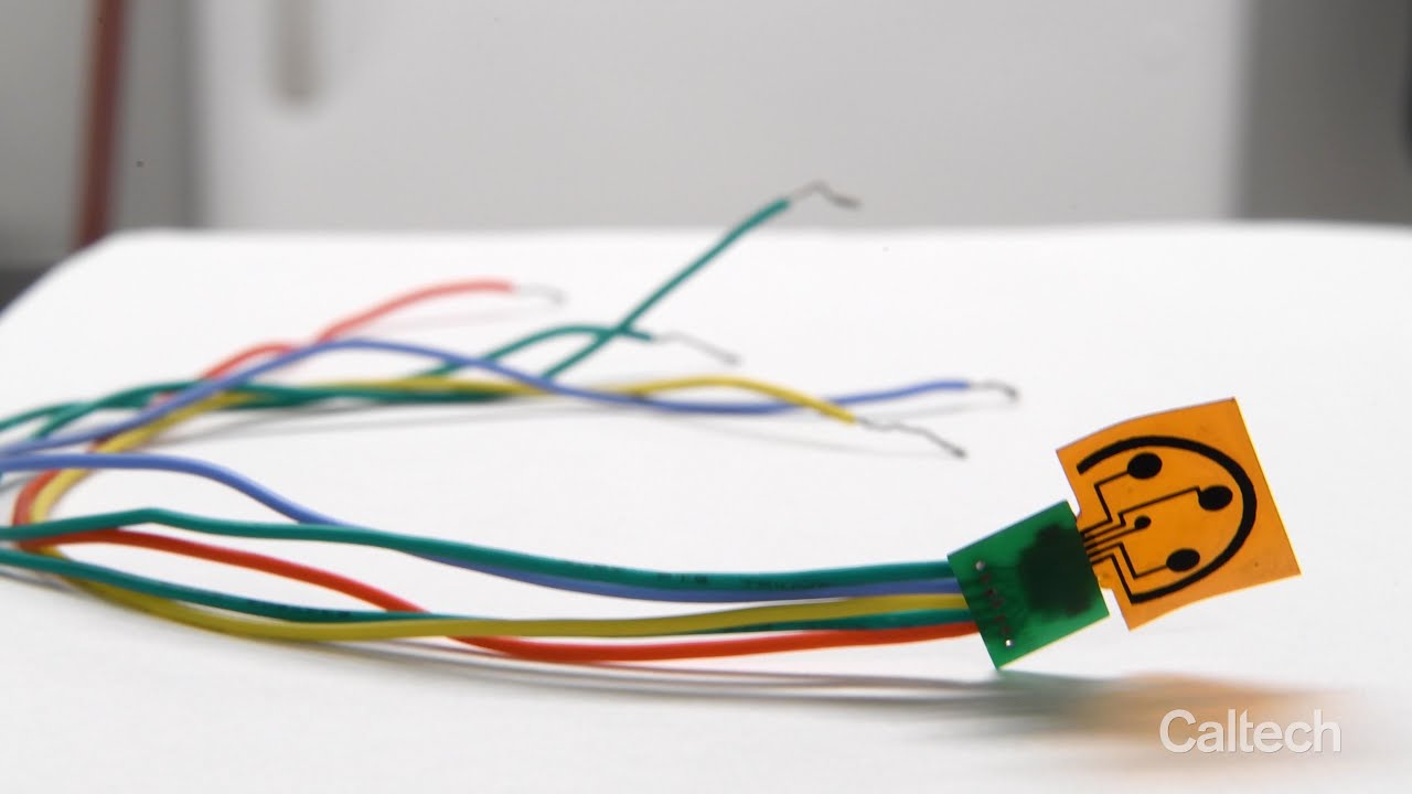 Caltech’s Low-Cost Sweat Sensor Tracks Stress Through Cortisol Levels ...