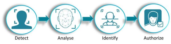 iWave i.MX8M Mini Board with NXP eIQ ML Software Enables Low Cost ...
