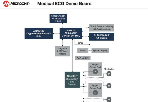 Connected Secure and Wearable Electrocardiogram (ECG) Design ...