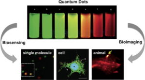 Quantum Dots in Medical Science as Cancer Tracer - Electronics-Lab