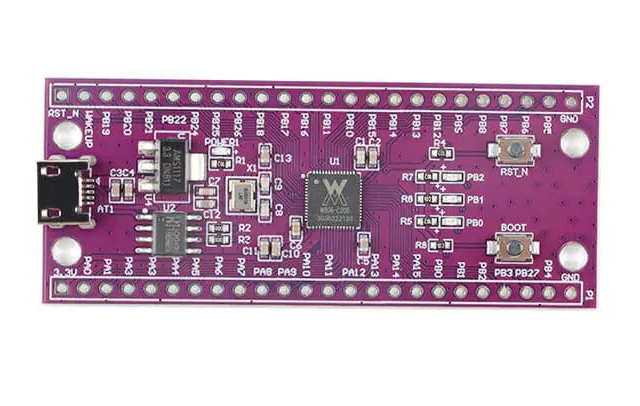 W806-MCU-development-board - Electronics-Lab.com