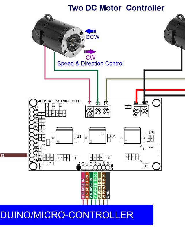 two brushed dc motor - Electronics-Lab.com