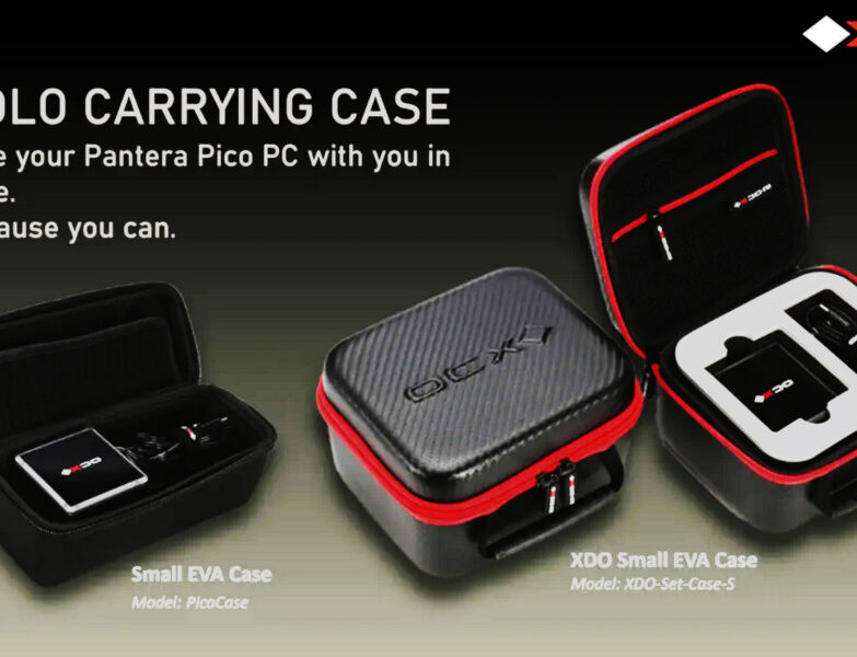 pico-pc-carrying-case - Electronics-Lab.com