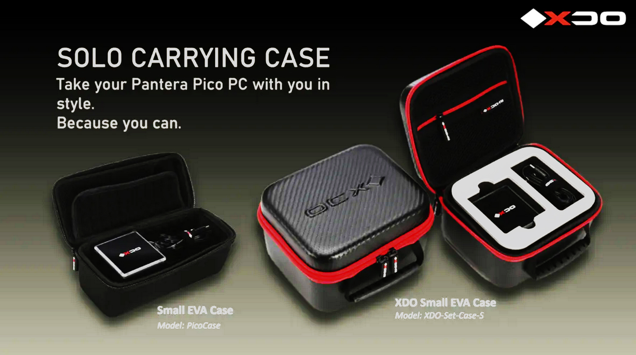 pico-pc-carrying-case - Electronics-Lab.com