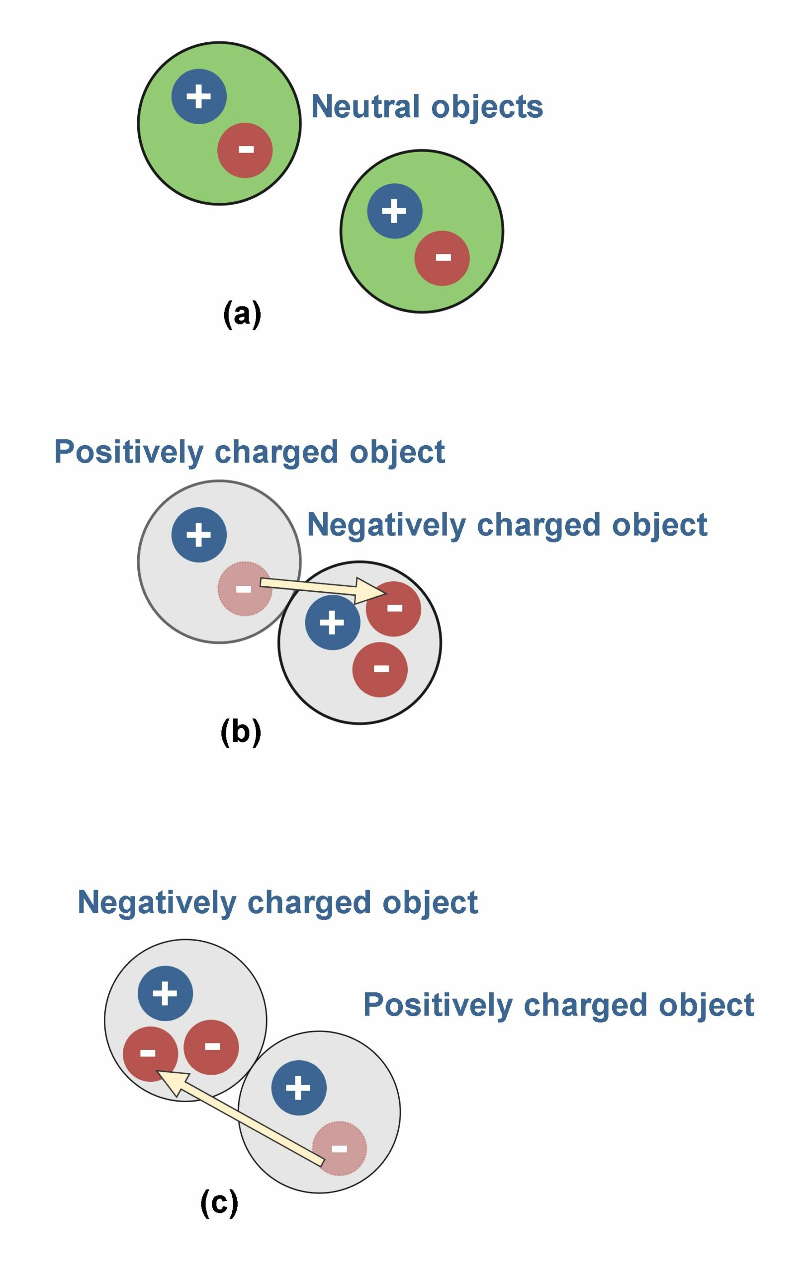 The Electric Force - Electronics-Lab